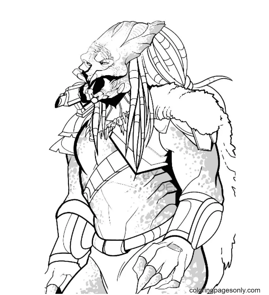 Predator Coloring Pages 55 Printable for Free Download